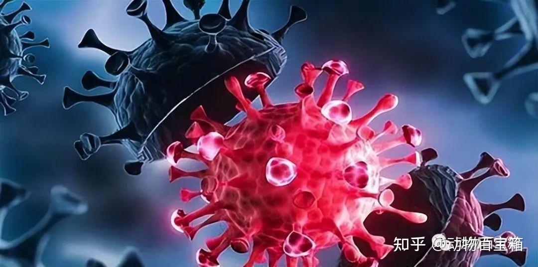 新毒株JN.1来袭，XBB疫苗刚上市就过时？ - 知乎