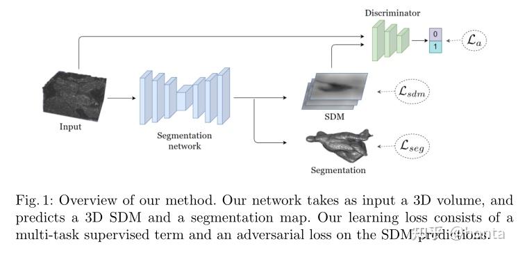 学习笔记：SASSNet: Shape-aware Semi-supervised 3D Semantic Segmentation for Medical Images - 知乎