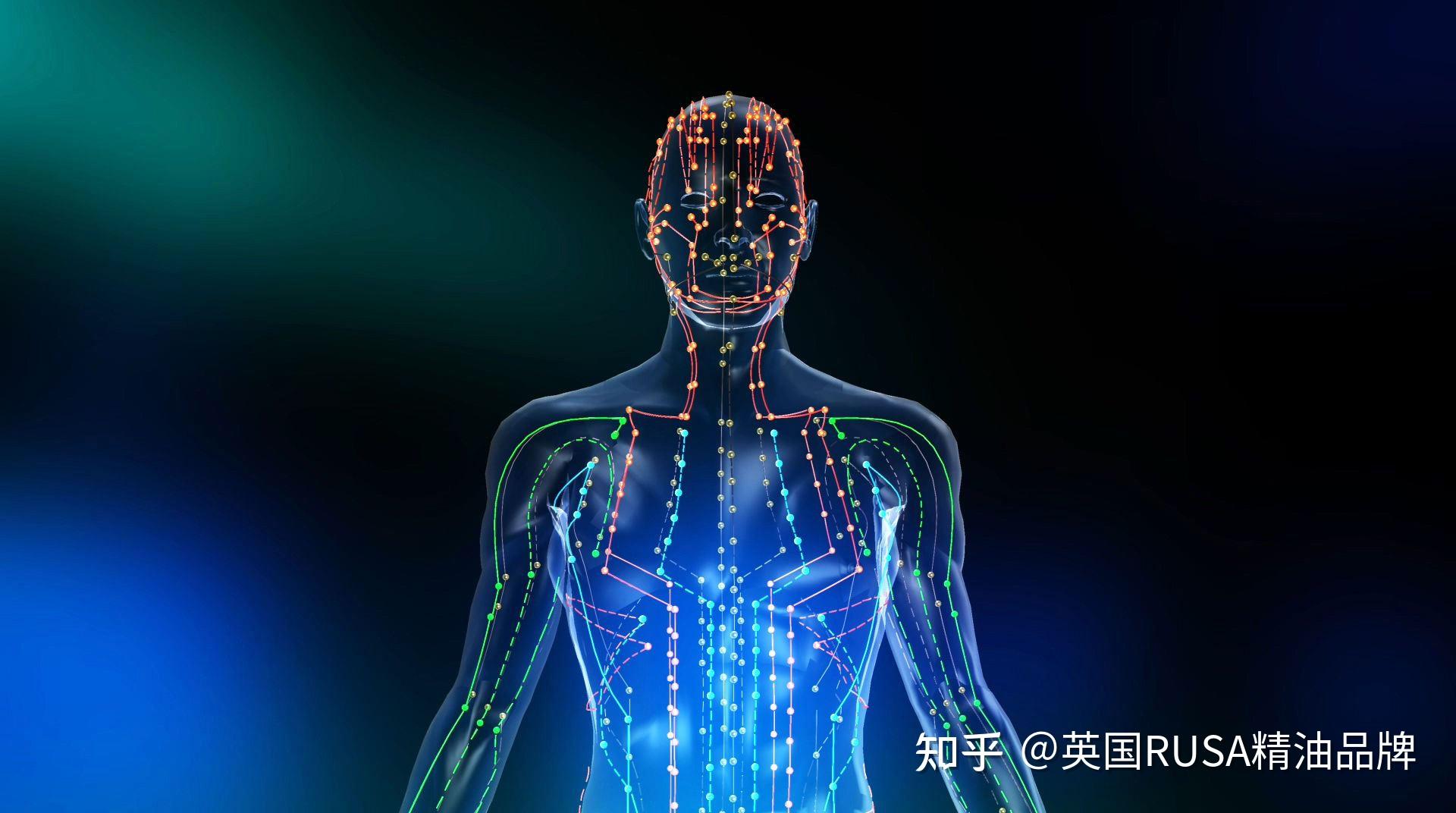 疏通经络要一直坚持 知乎