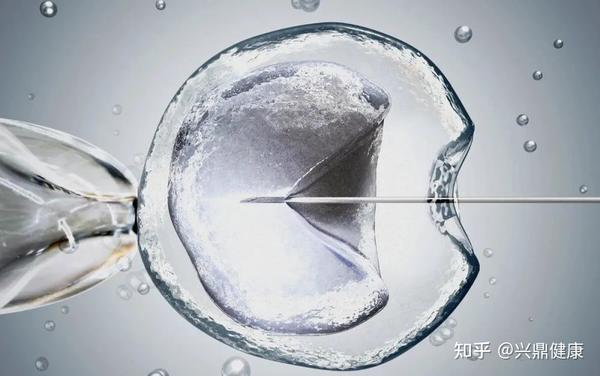 《卵胞质内单精子注射（ICSI）技术中国专家共识（2023年）》解读 - 知乎