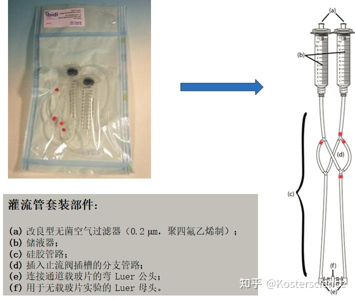 用 ibidi 流体剪切力系统对细胞进行灌流培养（1）：部件介绍 - 知乎