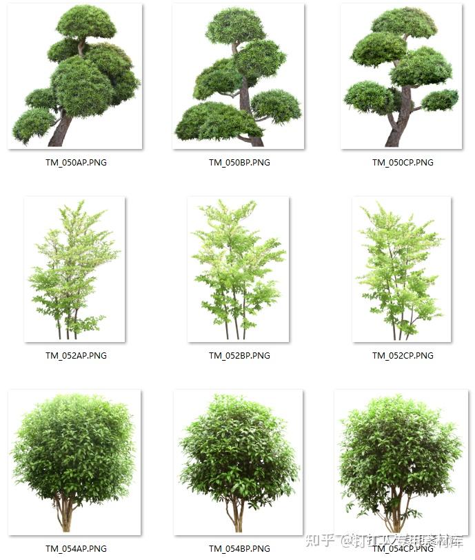 270款超棒的网红小清新手绘风and写实风立面树素材（1.2G） - 知乎