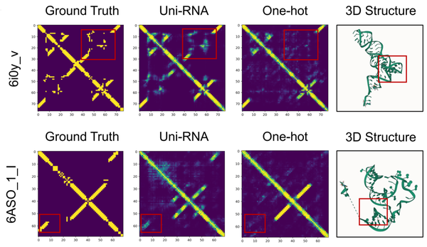 深势科技Uni-RNA预训练模型开启AI for核酸研究新时代 - 知乎