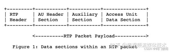 RTP协议封装H264/H265/AAC - 知乎