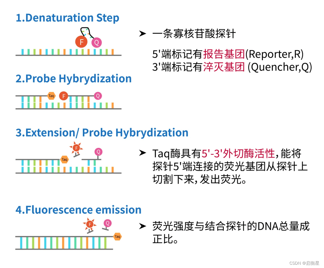 qPCR中荧光标记的选择 - 知乎