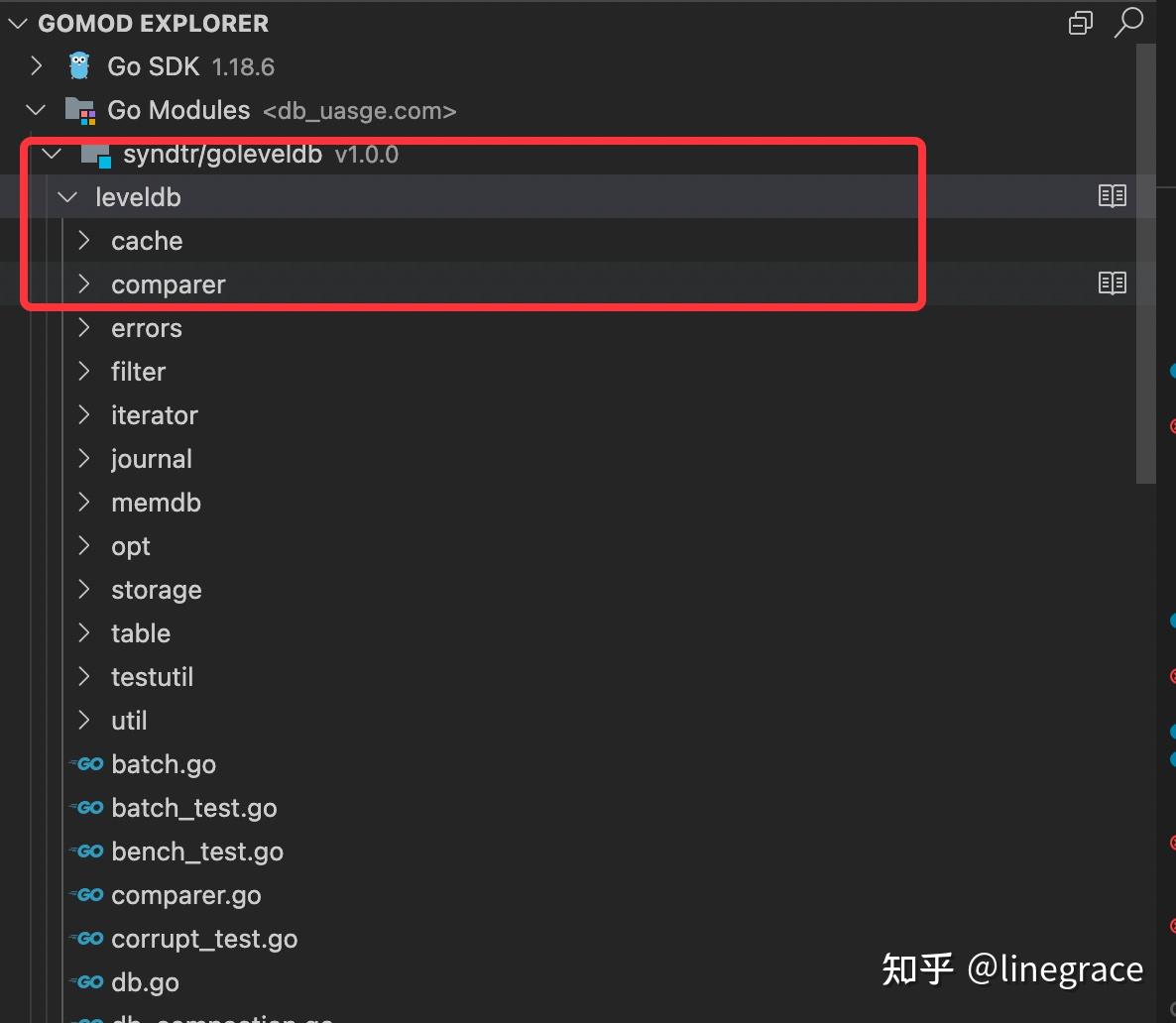 vscode/code server 怎么看go依赖、go mod的源码Go语言推荐vscode插件 - 知乎