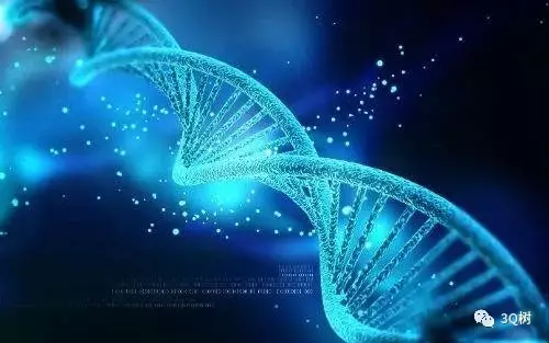 【原创】儿童APP测评：DNA Play：原来生命的形态是如此神奇！ - 知乎