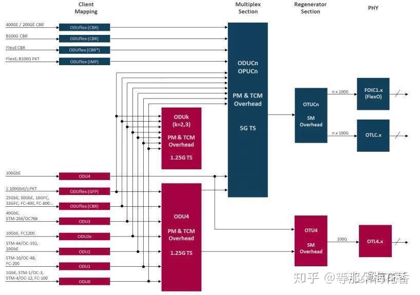 FlexE、FlexO与OTN - 知乎