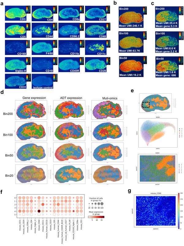 技术新突破 | Stereo-CITE-seq实现超高空间分辨率共检测组织全转录组和蛋白质 - 知乎