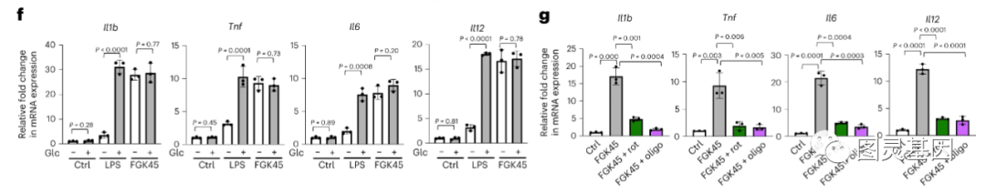 Nat Immu | CD40信号通过代谢重编程刺激巨噬细胞的抗肿瘤效应 - 知乎