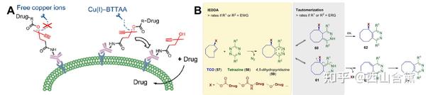 ADC中可裂解Linker的机制汇总 - 知乎