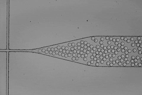 入门指南：DREM cell操作全攻略 - 知乎