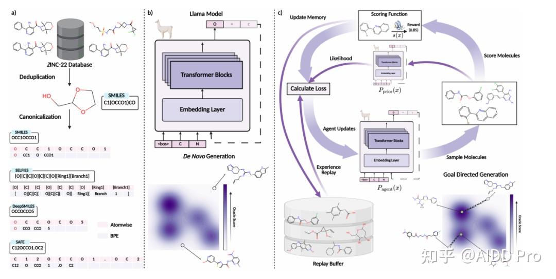 NovoMolGen：大规模分子语言模型预训练的系统性研究与启示 - 知乎