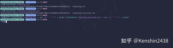 CS144 | Winter 2024, Lab 0~7 记录（已开源） - 知乎