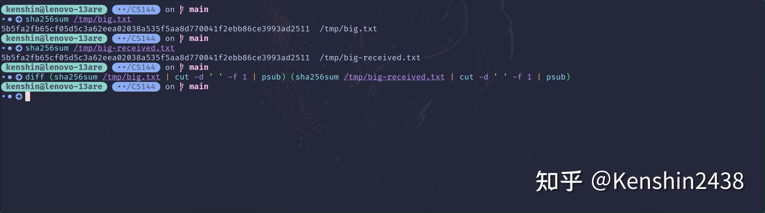 CS144 | Winter 2024, Lab 0~7 记录（已开源） - 知乎