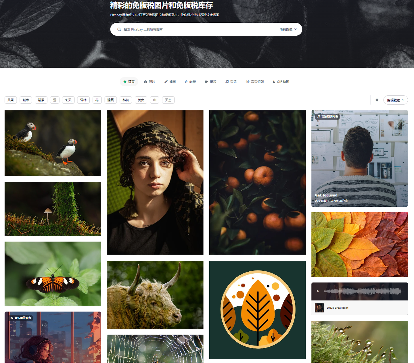 10个超好用的图片素材库，免费下载 - 知乎