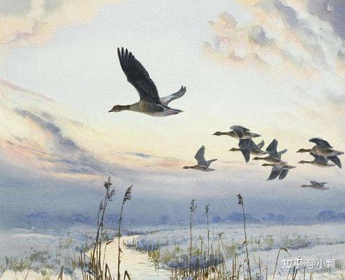 0033 7788（句子篇） - 知乎