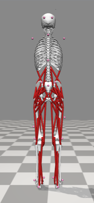 opensim深入教学 - 知乎