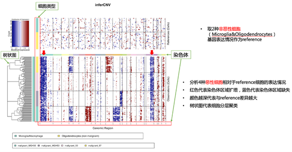 Vernacular｜InferCNV 帮你从单细胞数据中挑出“害群之马”--肿瘤细胞 - 知乎