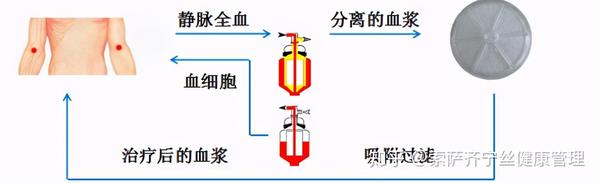 血液健康，百病不生 - 知乎