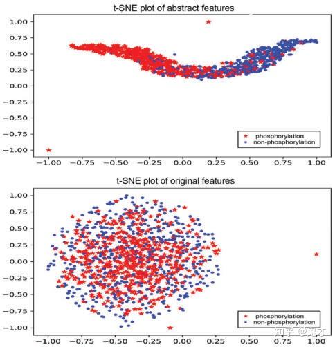 DeepPhos：基于CNN的蛋白质磷酸化位点预测模型 - 知乎