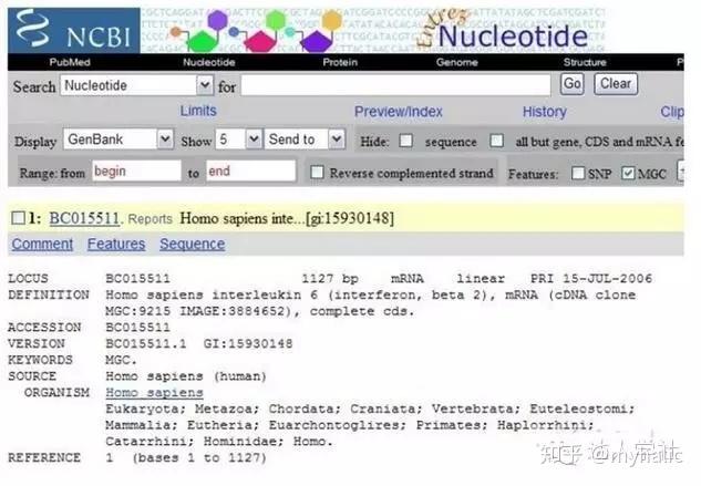 一步一步教你使用 NCBI 查找DNA、mRNA、cDNA、引物设计、BLAST 序列比对等 - 知乎