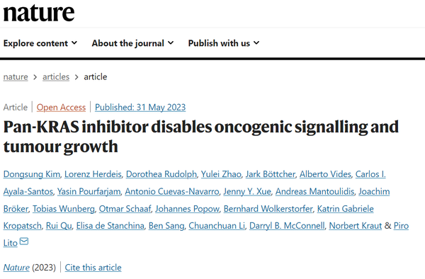 NATURE：KRAS靶向治疗新突破！新型泛KRAS突变抑制剂，可广泛靶向KRAS突变体 - 知乎