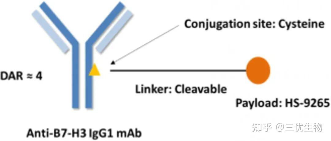 三优药讯｜ASCO23重大ADC临床结果解读（国产篇） - 知乎