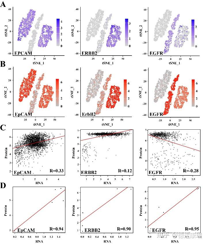 Paired-seq“玩转”单细胞转录组和蛋白组联合分析 - 知乎