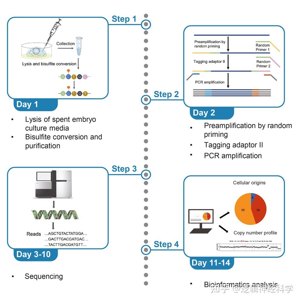 STAR Protocols︱北京大学黄锦/文路团队发表用于分析人类植入前胚胎培养基游离DNA甲基化组的新方案 - 知乎