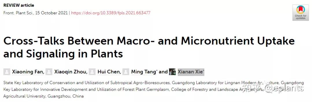 Front. Plant Sci.| 华南农大唐明团队总结植物中大量和微量营养素的吸收和互作机制 - 知乎