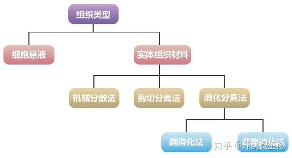 细胞培养方法及传代培养操作步骤 - 知乎