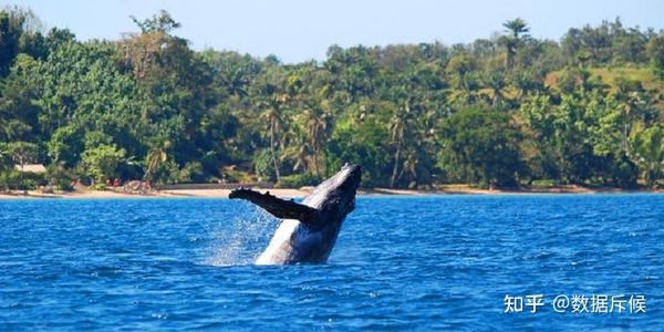 马达加斯加，是一个怎样的国家？ - 知乎