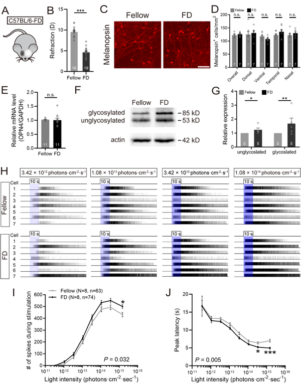 [客户文章]Sci Adv︱杨雄里院士团队揭示自感光视网膜神经节细胞在近视形成中的重要作用 - 知乎