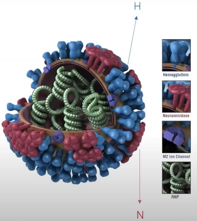 今年流感为啥来得晚也特别厉害？ - 知乎
