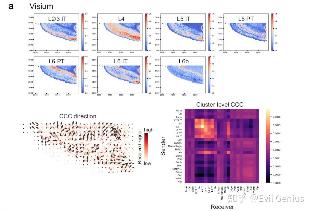 通过空间行为（optimal transport）推断空间细胞间通讯信号方向(COMMOT) - 知乎