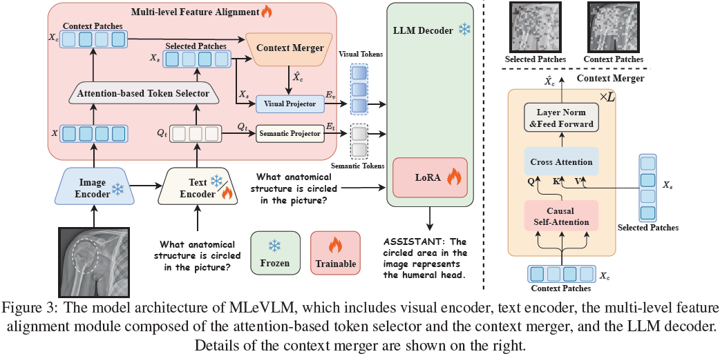 （2024|ACL|北大，MLeVLM，多层特征对齐）基于 MLLM 提升医学视觉问答的多层渐进能力 - 知乎