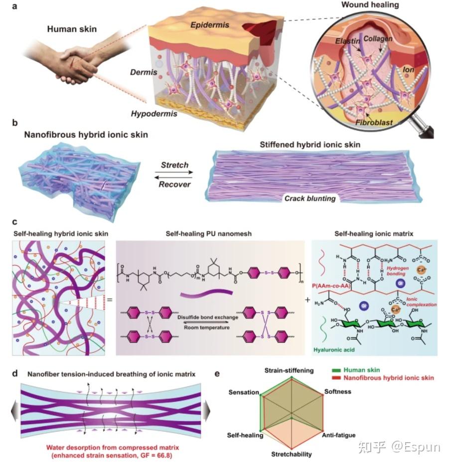 《Nat. Commun.》期刊2022年5-7月关于“静电纺丝与纳米纤维”的4篇论文 - 知乎