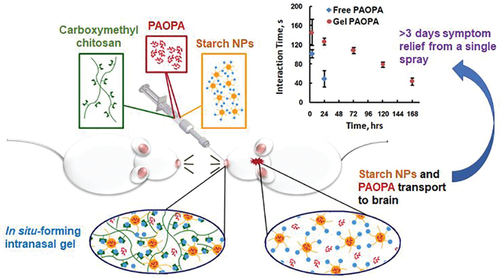 《AFM·综述》用于生物医学、环境和工业应用的纳米颗粒网络水凝胶的设计和制造方法 - 知乎