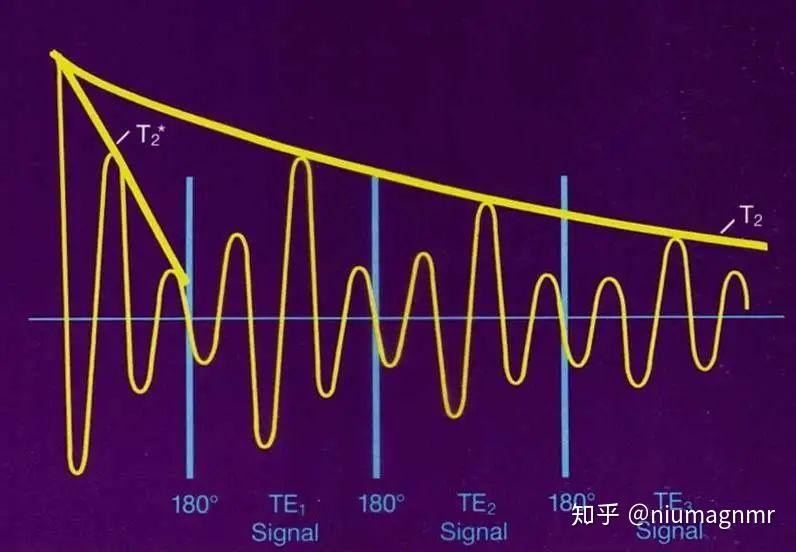 为什么要用CPMG序列测试T2？ - 知乎