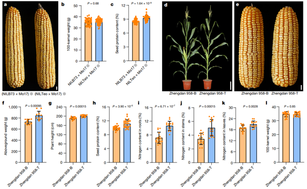 从Nature文章开始了解高蛋白基因 - 知乎