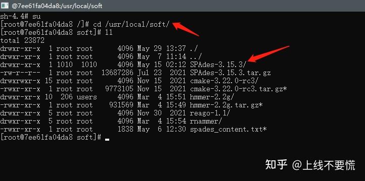 第二弹 使用Spades进行基因组装 @程序猿帮老婆做生信分析 - 知乎