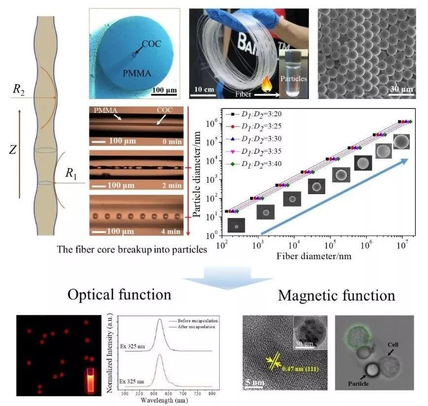 华南理工大学周时凤教授《ACS Nano》：基于光纤Plateau–Rayleigh不稳定性的微纳制造 - 知乎