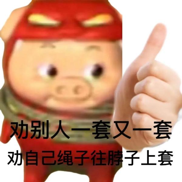 热门猪猪侠：美丽的小姐我叫Bond,GGBond表情包 - 知乎