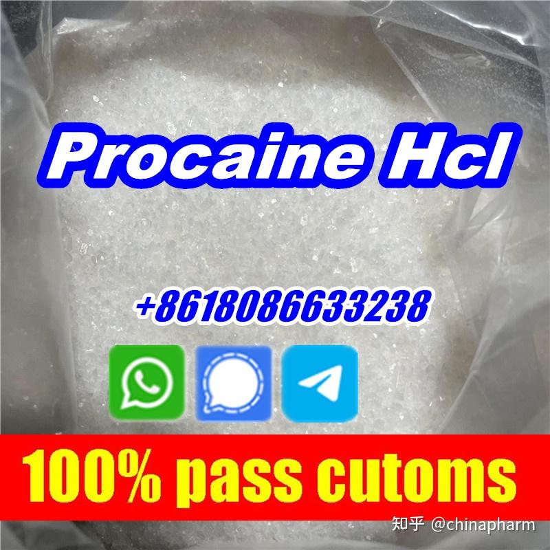 Procaine hcl Procaina powder Procaine hydrochloride 51-05-8 - 知乎