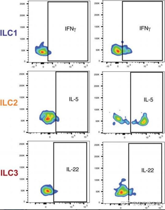 人先天淋巴细胞免疫分型 - 知乎