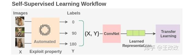 【入门必看】图解自监督学习(Self-Supervised Learning) - 知乎