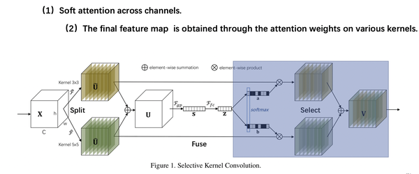 论文 Selective Kernel Networks（SKNet）解读 - 知乎