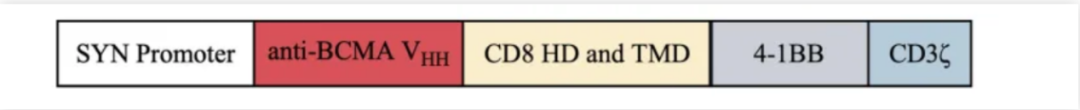 全球首例！体内CAR-T疗法攻克多发性骨髓瘤，华中大团队改写癌症治疗史 - 知乎