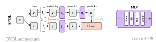 李沐论文精读系列三：MoCo、对比学习综述（MoCov1/v2/v3、SimCLR v1/v2、DINO等） - 知乎